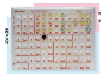 DxM マイクロスキャンWaklAway｜ベックマン・コールター